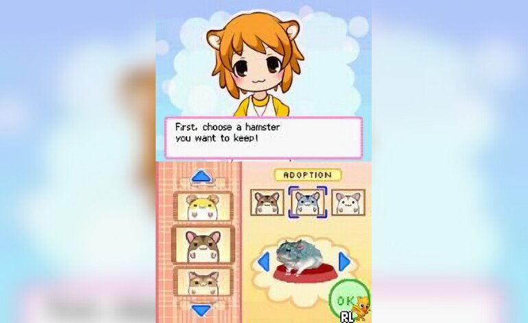 Play Hamsterz Life (USA) • Nintendo DS GamePhD